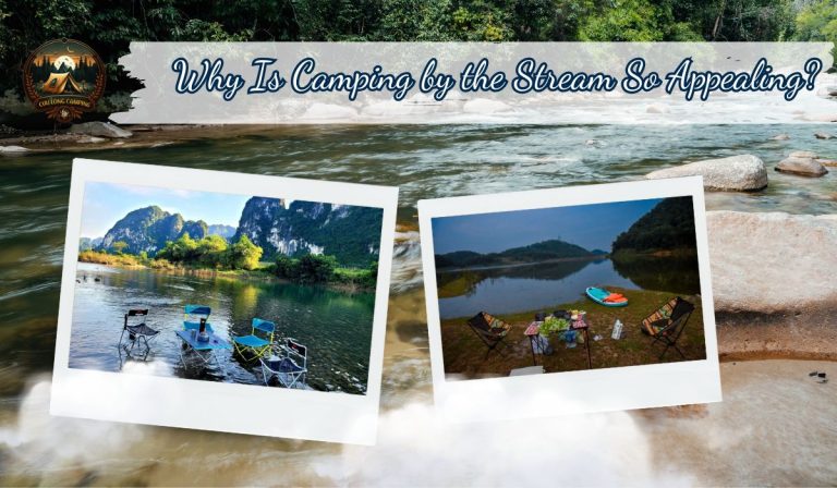 Camping by the Stream: An Unforgettable Nature Experience - Cửu Long ...